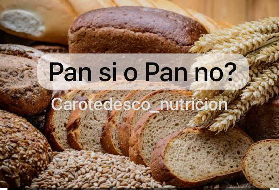 Pan: ¿sí o no? Beneficios y mitos en nutrición - Lu24